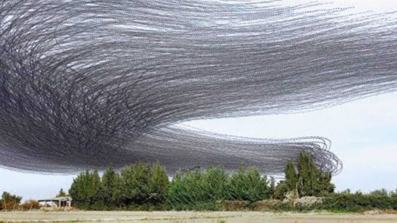 15 RARE Weather and Natural Phenomena - What The Heck?