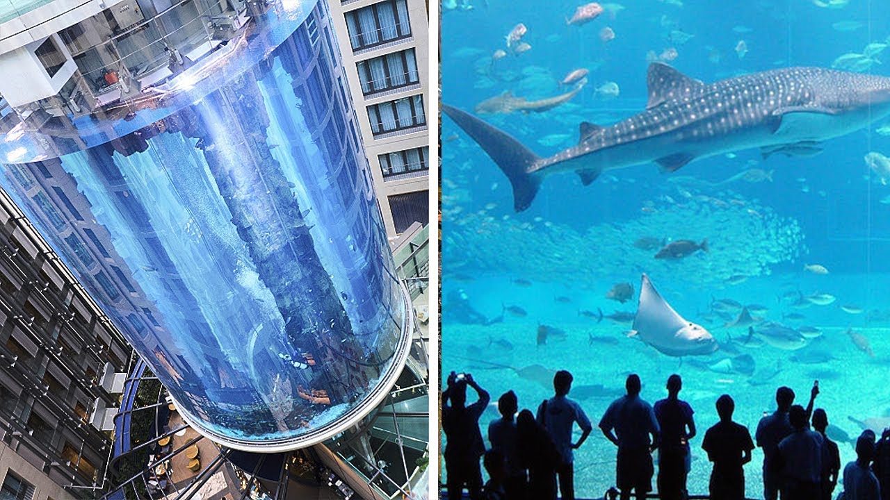 15 Largest Aquariums in the World - What The Heck?